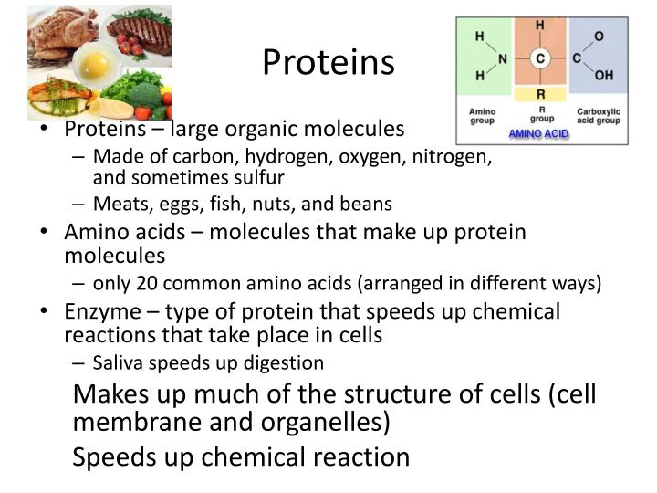 PPT - Chemical Compounds in Cells PowerPoint Presentation - ID:2519228