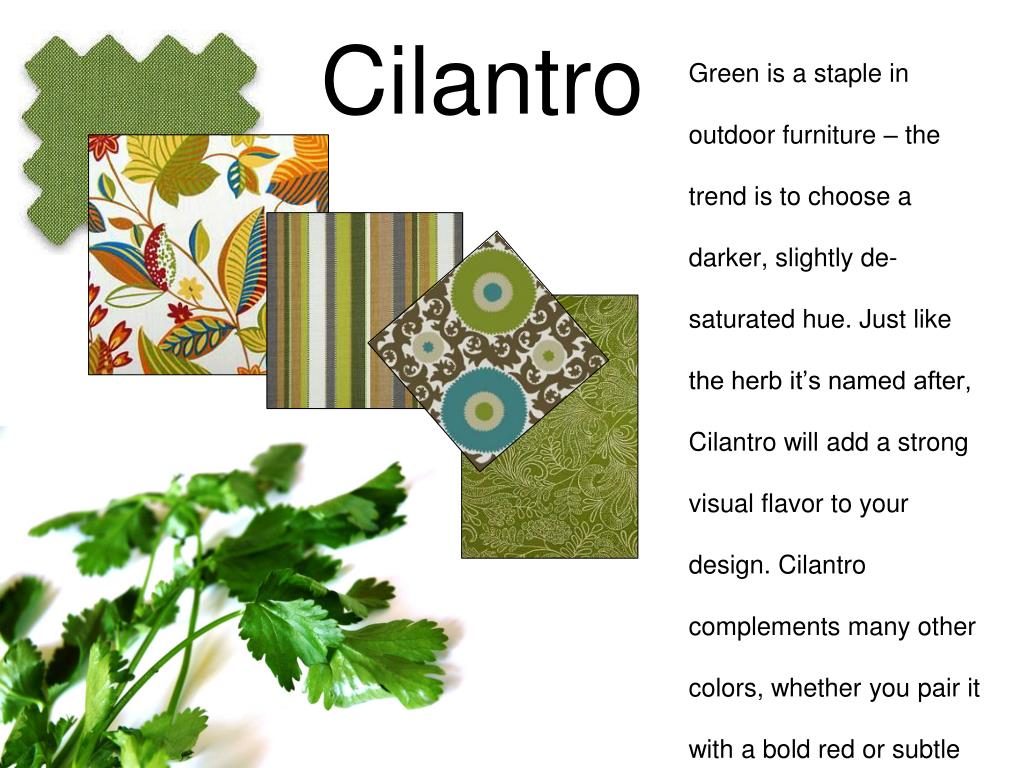 PPT - The color trends of outdoor living PowerPoint Presentation, free ...