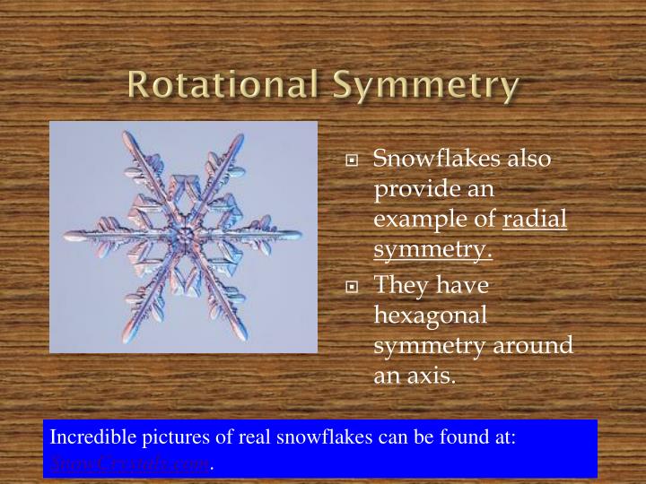 PPT - Nature’s Geometry: Symmetry and polygons in Nature PowerPoint ...