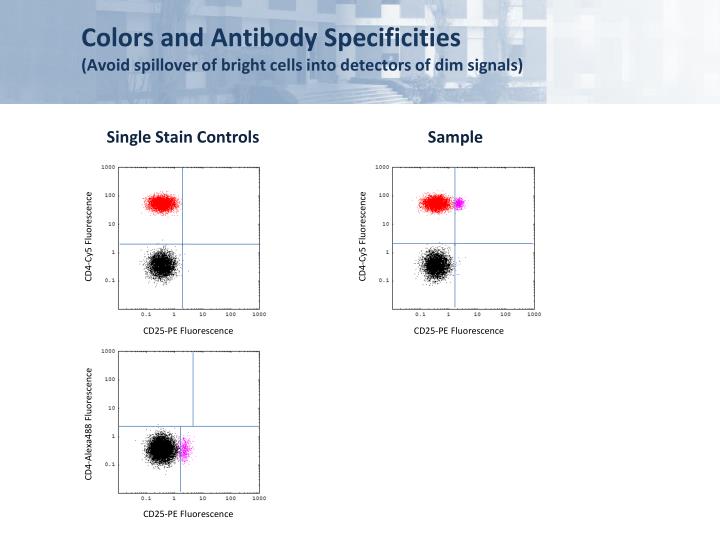 PPT - What is Flow Cytometry ? PowerPoint Presentation - ID:2519998