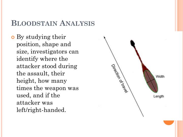PPT - Blood stain analysis PowerPoint Presentation - ID:2521494