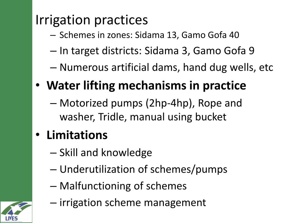 PPT - Irrigated fruits & vegetables value chain for Sidama and Gamo ...