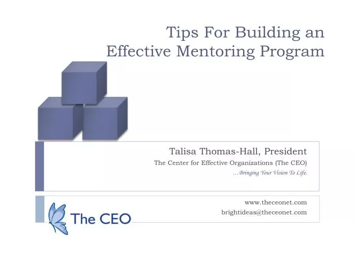PPT - Tips For Building an Effective Mentoring Program PowerPoint ...
