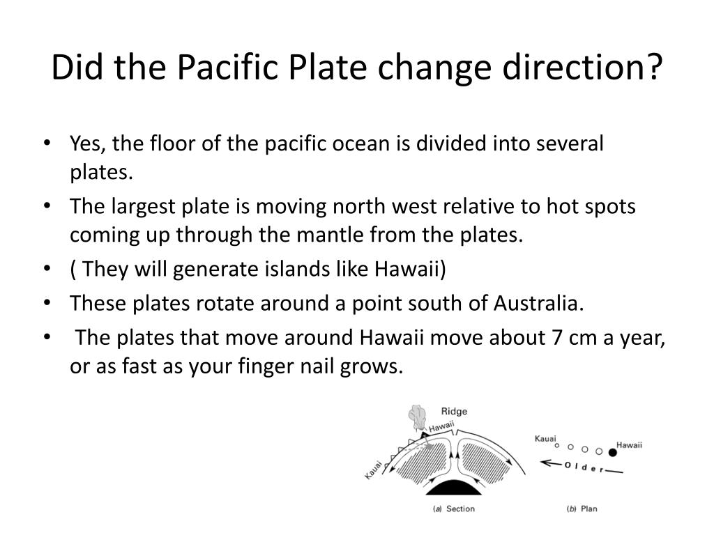 PPT - Erica Moyer Sara Martin Noah Hurrle PowerPoint Presentation, free ...