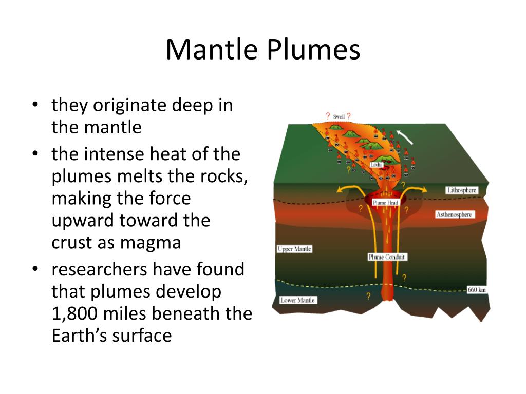 PPT - Erica Moyer Sara Martin Noah Hurrle PowerPoint Presentation, free ...