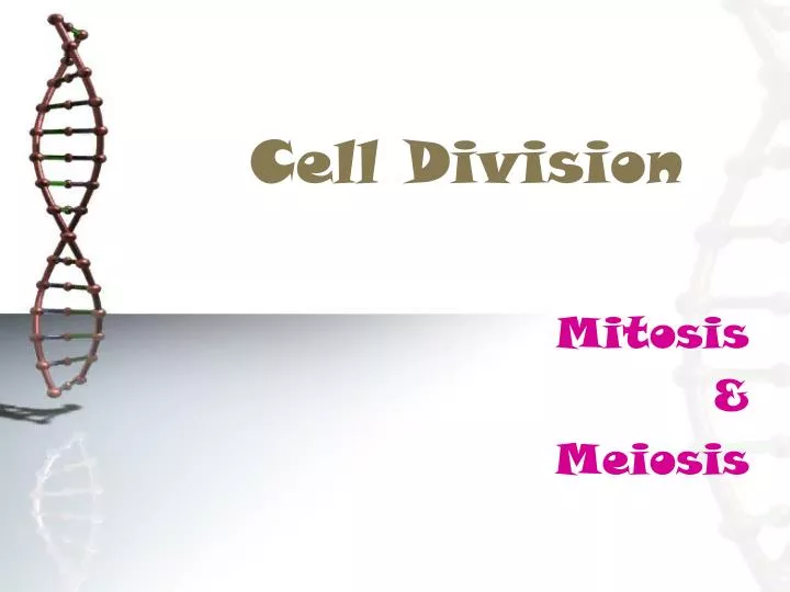 Gregor Mendel What Is An Easy Way To Remember Cell Division Wilson Gregor Mendel What Is An Easy Way To Remember Cell Division Wilson