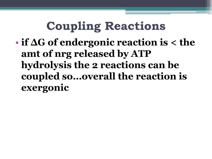 PPT - Metabolism PowerPoint Presentation - ID:2522906