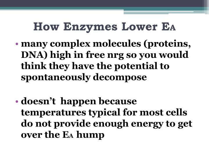 PPT - Metabolism PowerPoint Presentation - ID:2522906