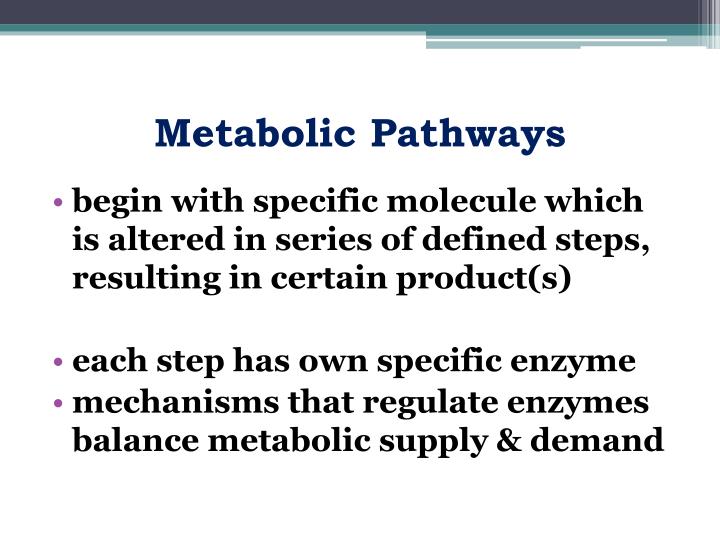 PPT - Metabolism PowerPoint Presentation - ID:2522906