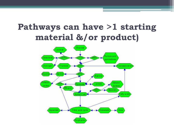 PPT - Metabolism PowerPoint Presentation - ID:2522906