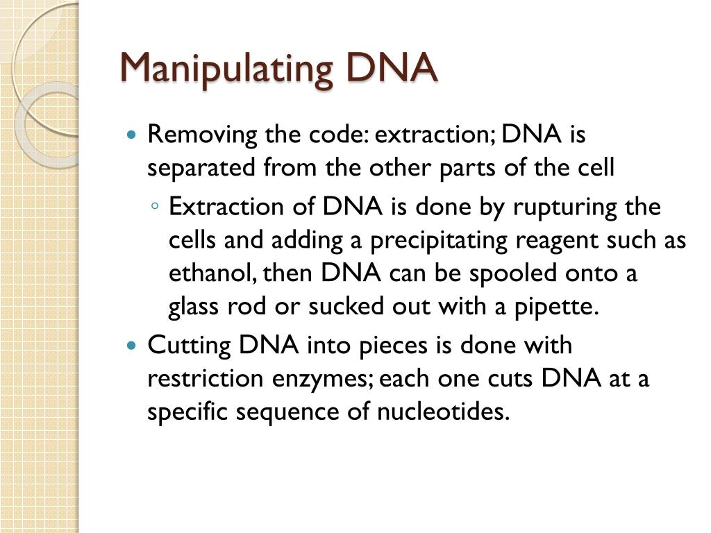 PPT - Chapter 13 PowerPoint Presentation, free download - ID:2522914