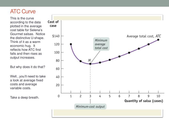PPT - Production and Costs: Firm Costs PowerPoint Presentation - ID:2522918