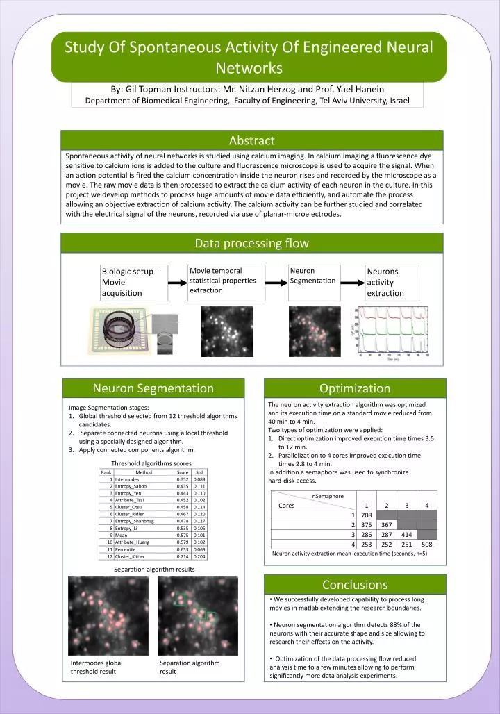 PPT - Study Of Spontaneous Activity Of Engineered Neural Networks ...