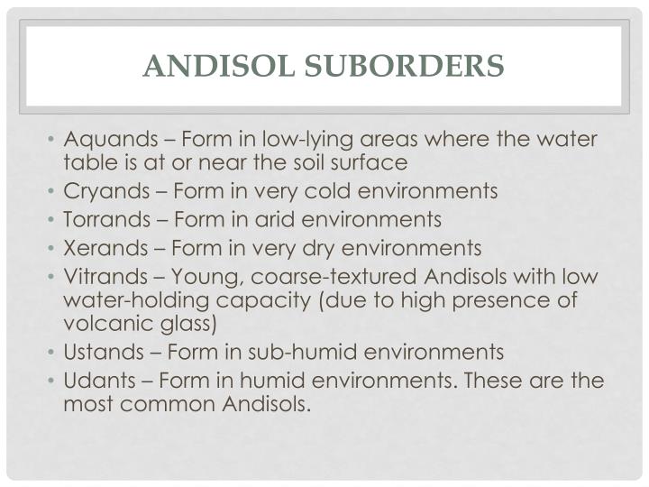 PPT - An Overview of Andisols PowerPoint Presentation - ID:2525324