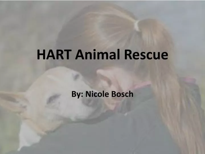 PPT - HART Animal Rescue PowerPoint Presentation, free download - ID ...