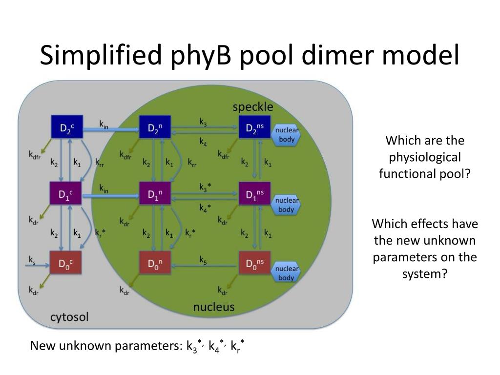 PPT - Filippo Venezia Diplom biologist (t.o.) ZBSA Superviser: Dr ...