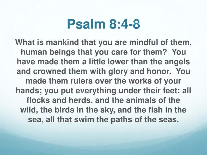 PPT - Psalm 8:4-8 PowerPoint Presentation, free download - ID:2526016 PPT - Psalm 8:4-8 PowerPoint Presentation, free download - ID:2526016