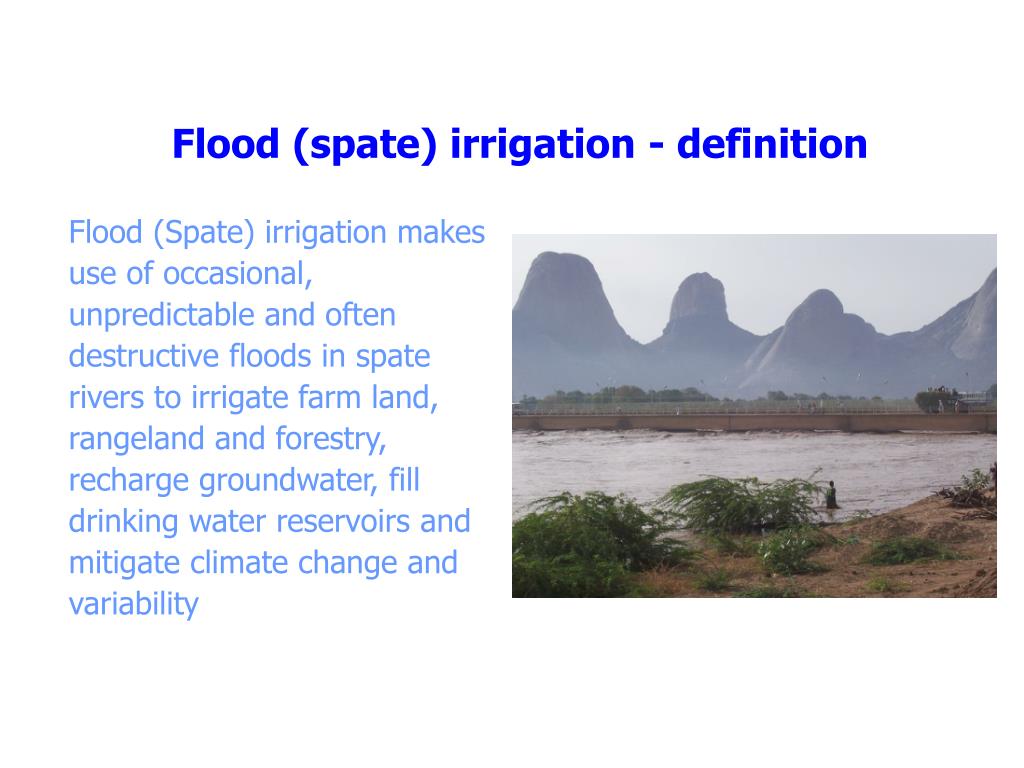 PPT - Fateh M. Mari Department of Agricultural Economics PowerPoint ...