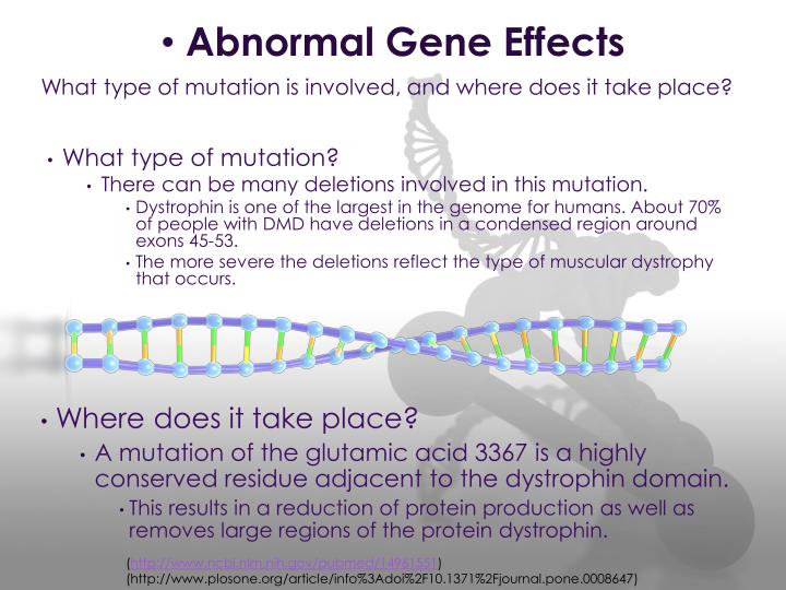 PPT - Duchenne Muscular Dystrophy (DMD) PowerPoint Presentation - ID ...