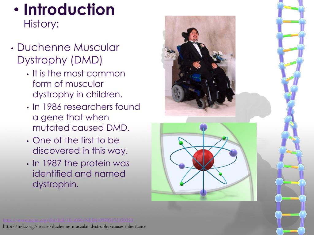 PPT - Duchenne Muscular Dystrophy (DMD) PowerPoint Presentation, free ...
