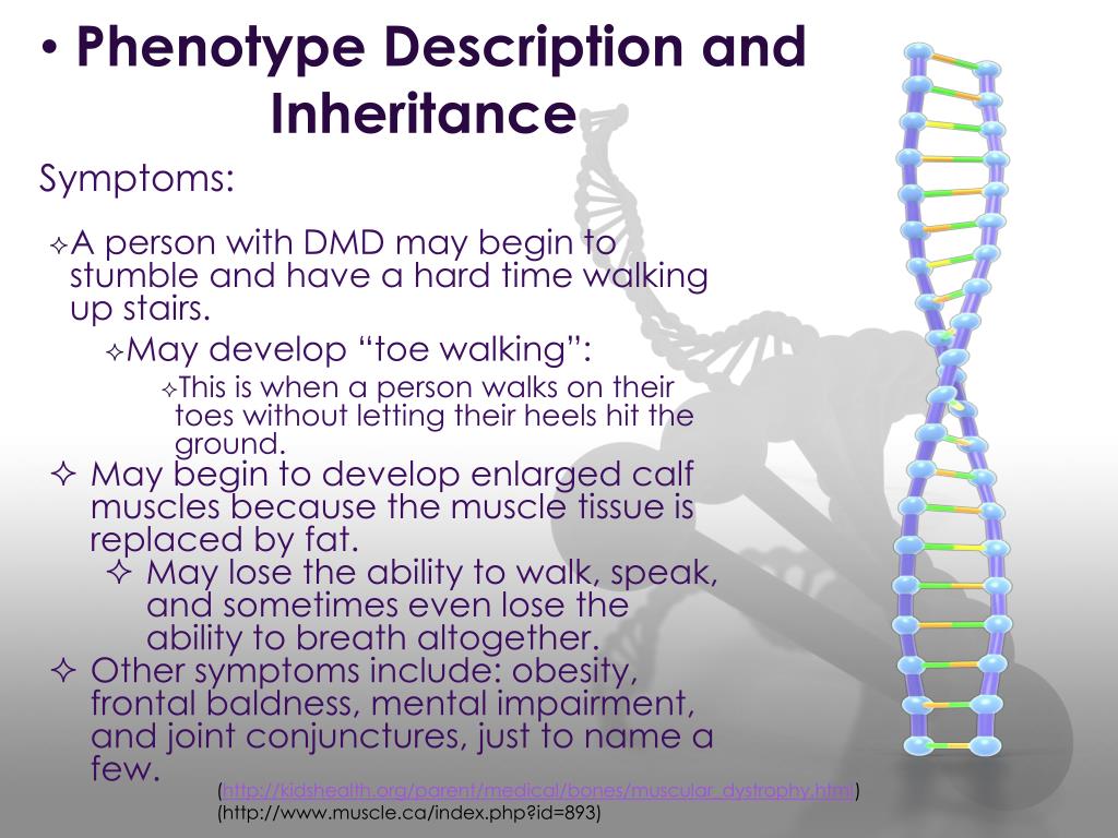 PPT - Duchenne Muscular Dystrophy (DMD) PowerPoint Presentation, free ...