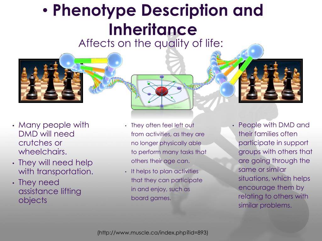 PPT - Duchenne Muscular Dystrophy (DMD) PowerPoint Presentation, free ...