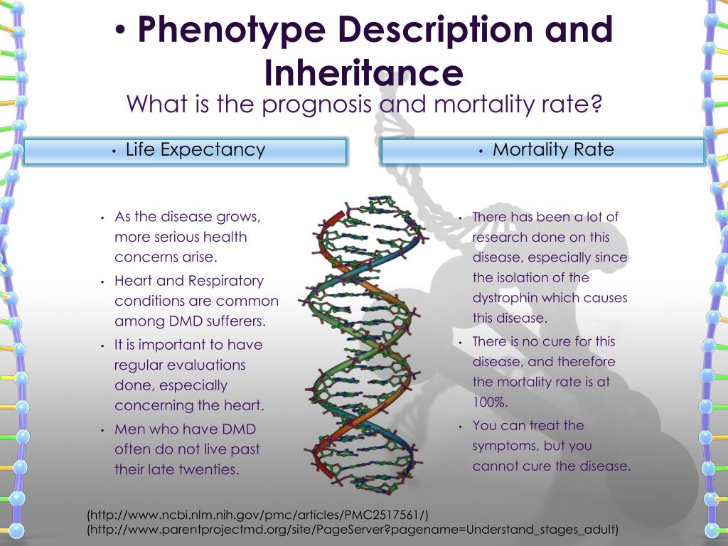 PPT - Duchenne Muscular Dystrophy (DMD) PowerPoint Presentation, free ...