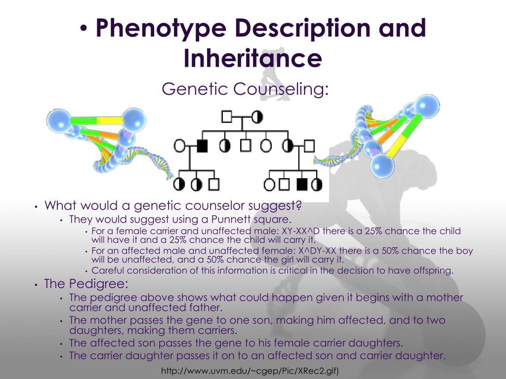PPT - Duchenne Muscular Dystrophy (DMD) PowerPoint Presentation, free ...