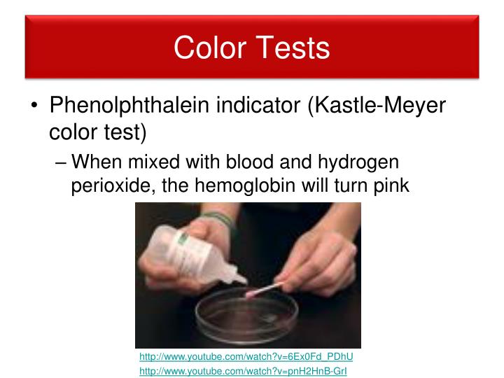 PPT - Chapter 8 Forensic Serology PowerPoint Presentation - ID:2526452