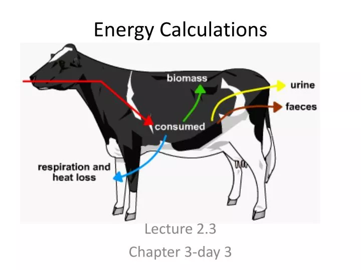PPT - Energy Calculations PowerPoint Presentation, free download - ID ...