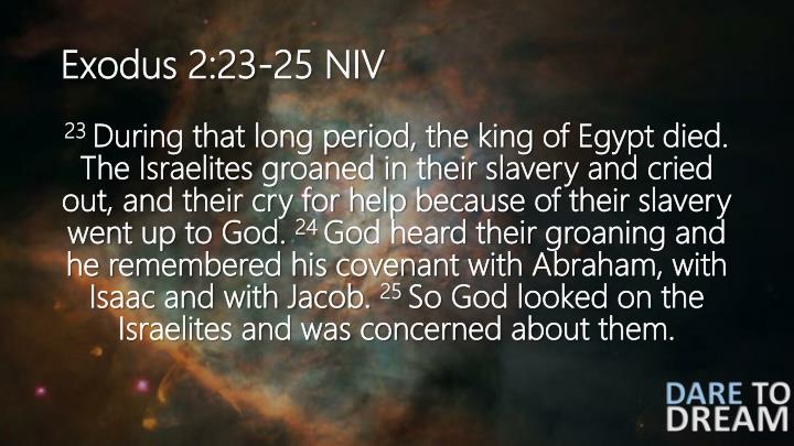 PPT - Exodus 2 PowerPoint Presentation - ID:2527008