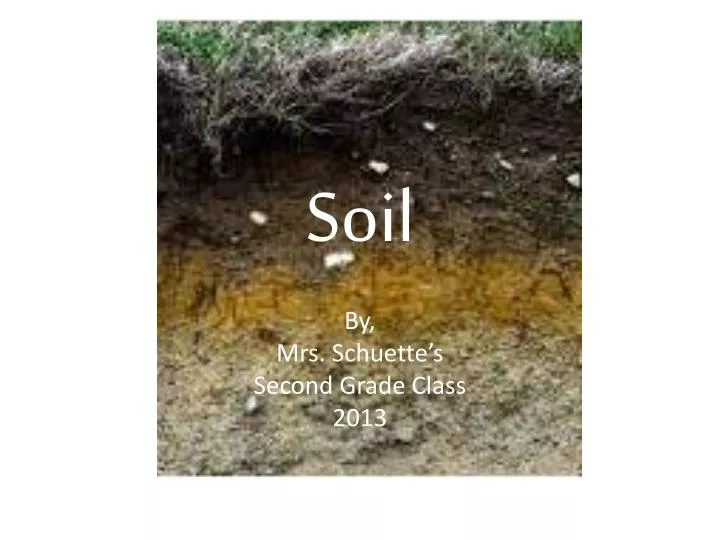 PPT - Soil PowerPoint Presentation, free download - ID:2529229