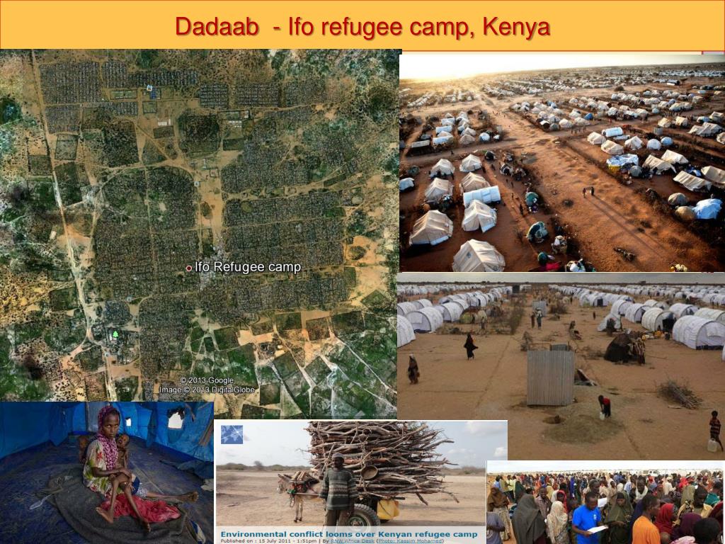 PPT - THE FUTURE OF THE INTERNATIONAL AND EUROPEAN REFUGEE REGIME ...