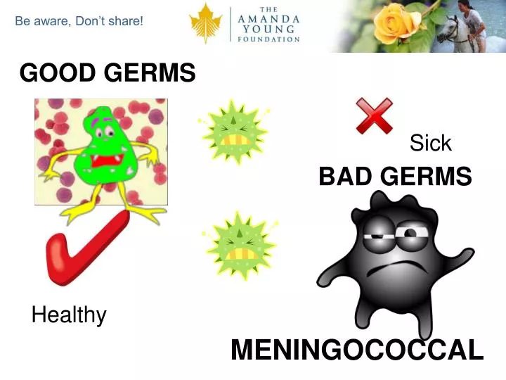 PPT - GOOD GERMS PowerPoint Presentation, free download - ID:2531282