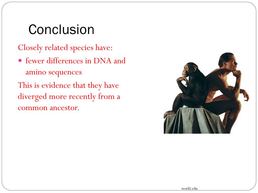 PPT - Biology in Focus, HSC Course Glenda Childrawi , Margaret Robson ...