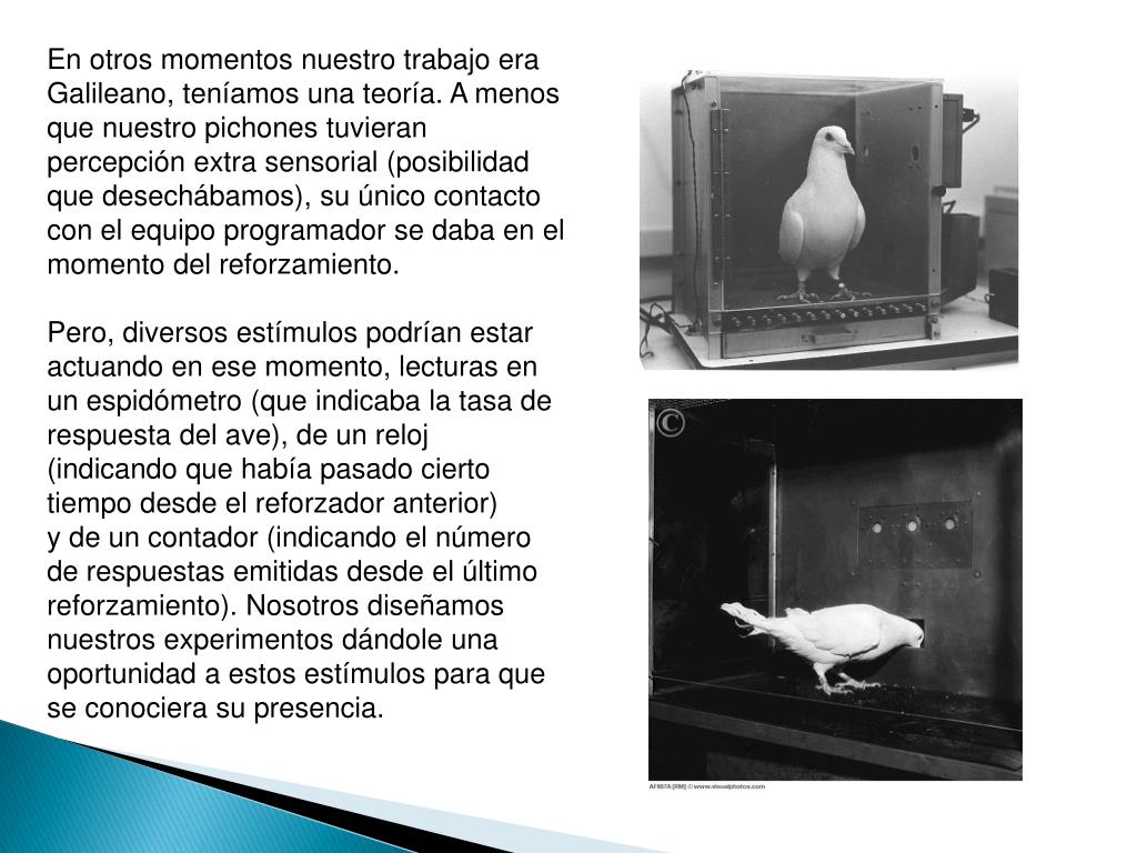 PPT - CHARLES B. FERSTER Recuerdos personales de B.F. Skinner ...