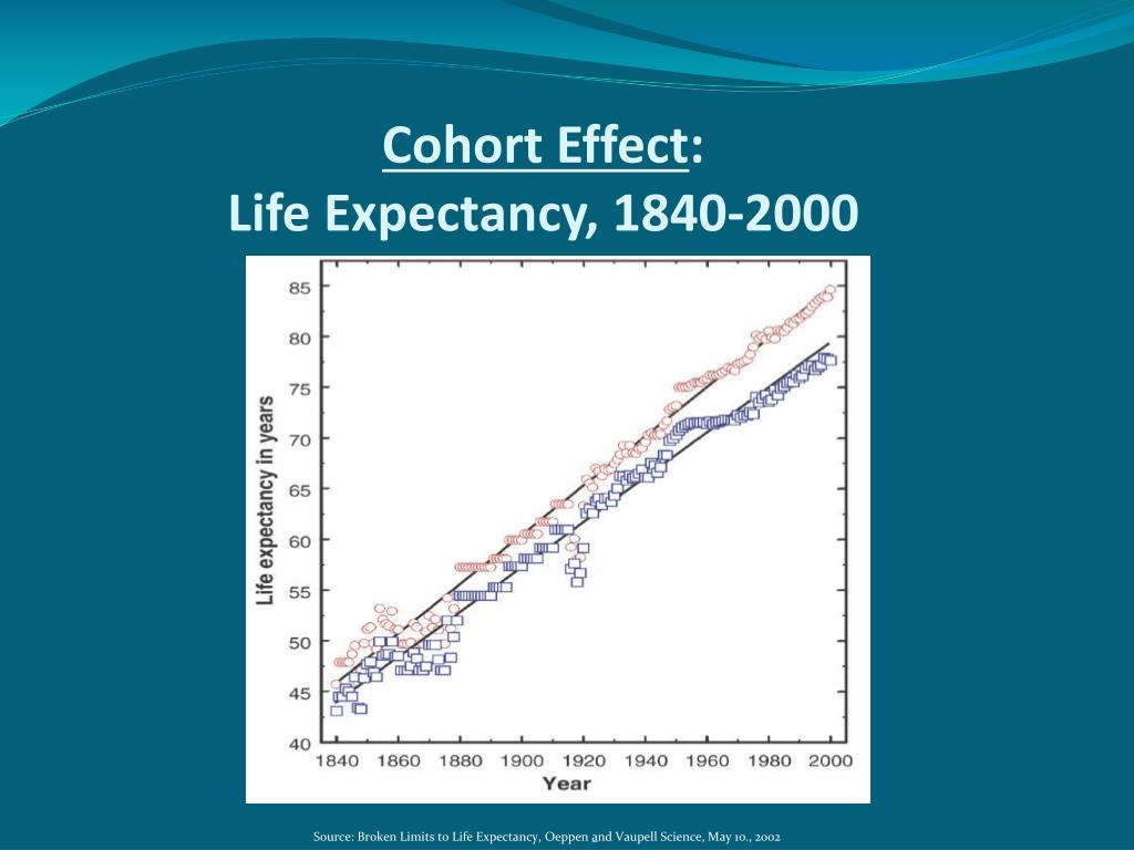 PPT - Baby Boomers: The Next 20 Years PowerPoint Presentation, free ...