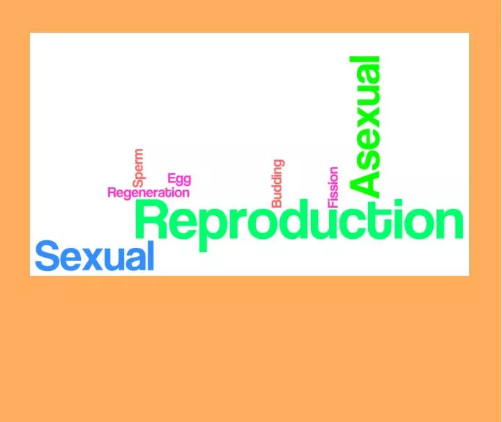 PPT - Purpose of Reproduction: PowerPoint Presentation, free download ...