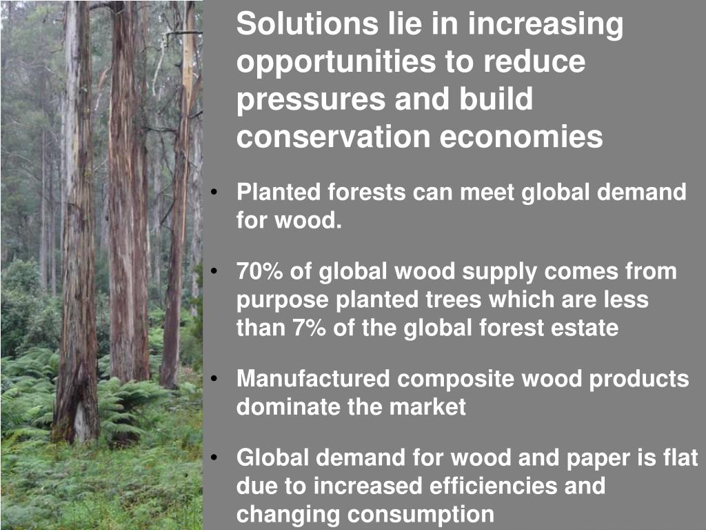 PPT - Building Conservation Economies Through Sustainable Forest ...
