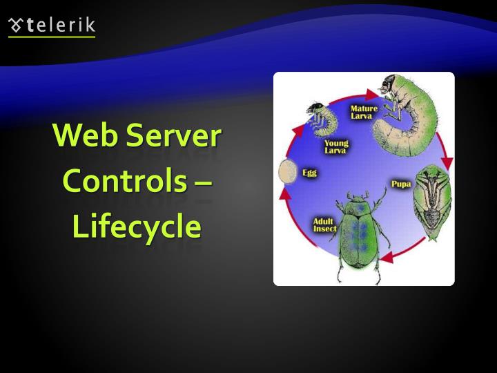 PPT - ASP.NET Web Controls and HTML Controls PowerPoint Presentation - ID:2557293