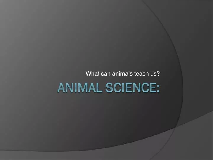 PPT - Animal Science: PowerPoint Presentation, free download - ID:2557618