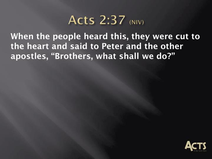 PPT - True Repentance PowerPoint Presentation - ID:2558254