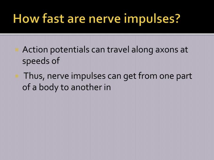 PPT - How do neurons conduct nerve impulses? PowerPoint Presentation ...