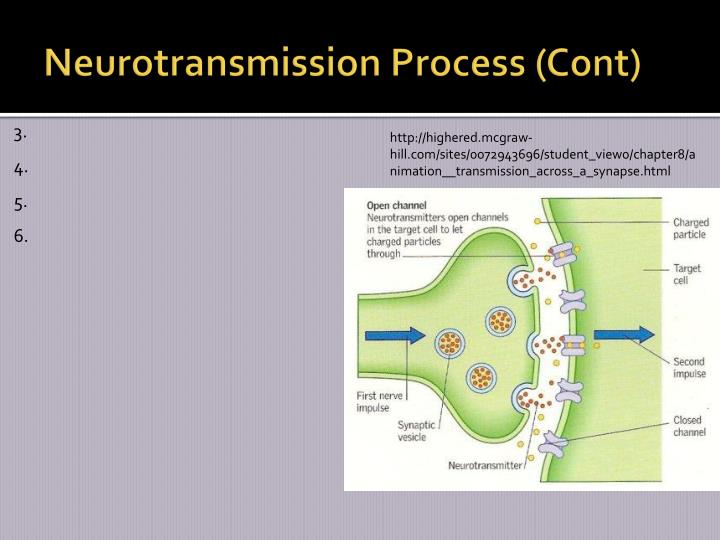 PPT - How do neurons conduct nerve impulses? PowerPoint Presentation ...