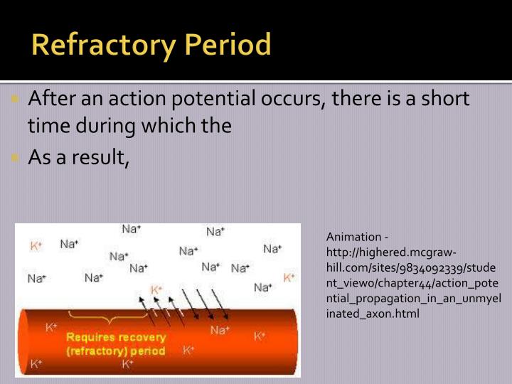 PPT - How do neurons conduct nerve impulses? PowerPoint Presentation ...