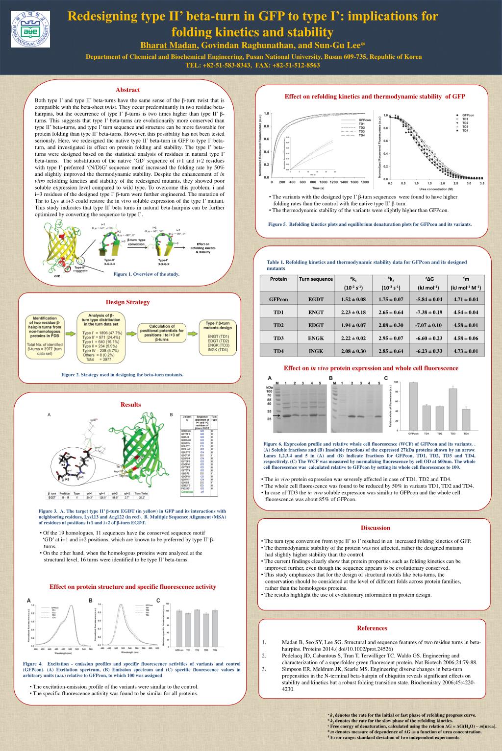 PPT - Redesigning type II’ beta-turn in GFP to type I’: implications ...
