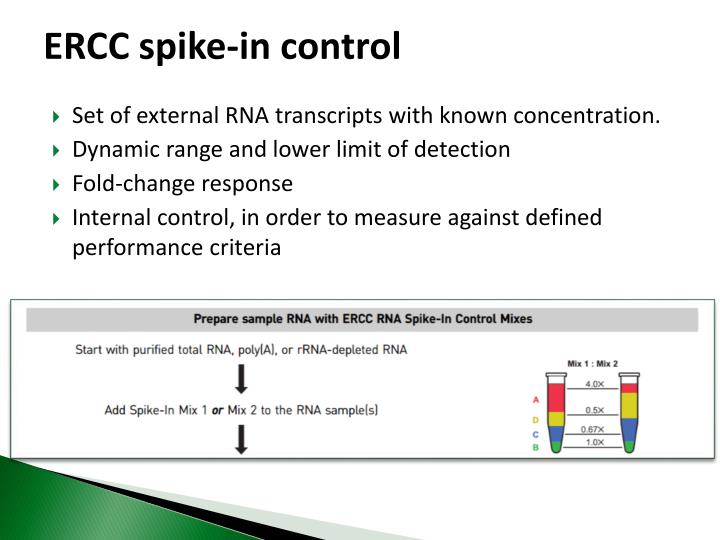 PPT - RNA Sequencing PowerPoint Presentation - ID:2559068