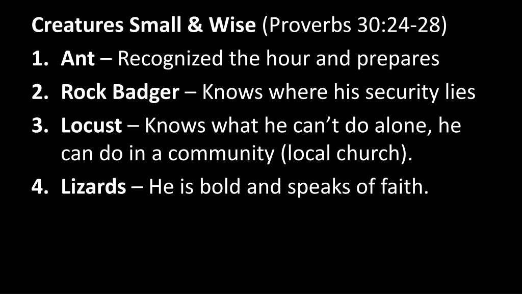 PPT - Creatures Small & Wise (Proverbs 30:24-28) Ant – Recognized the ... PPT - Creatures Small & Wise (Proverbs 30:24-28) Ant – Recognized the ...