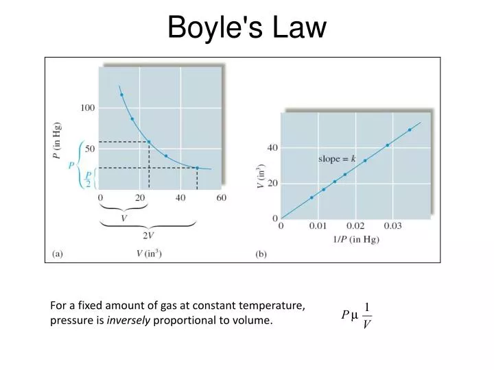 PPT - Boyle's Law PowerPoint Presentation, free download - ID:2559647