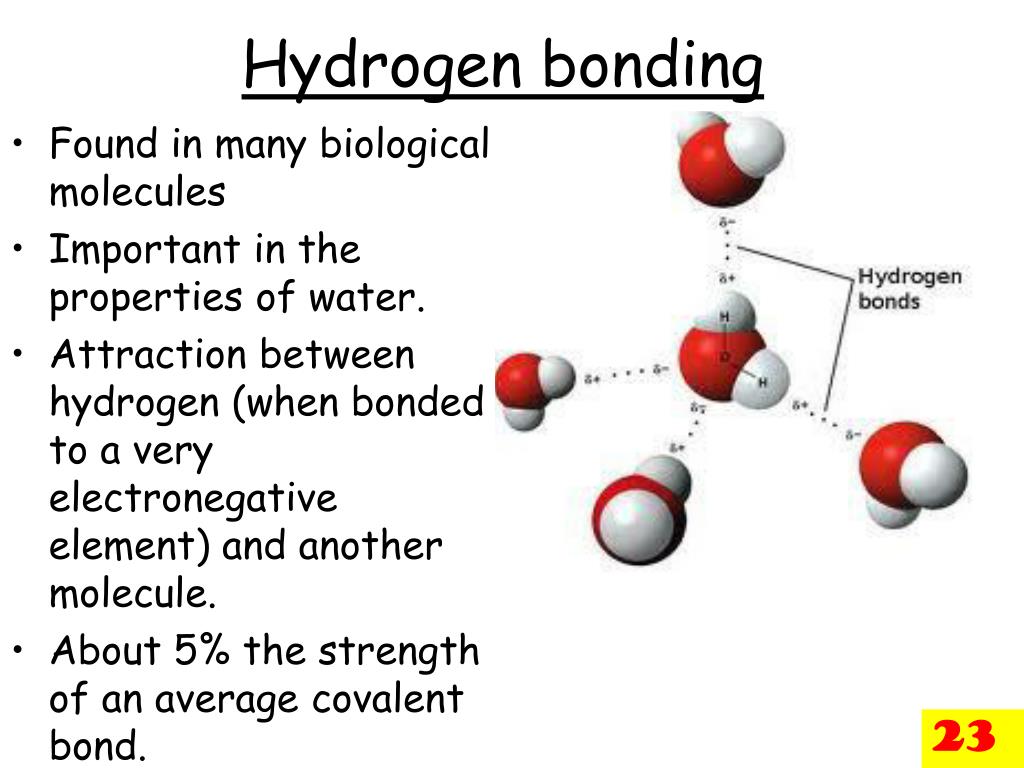 PPT - Chemical Bonding and Nomenclature PowerPoint Presentation, free ...
